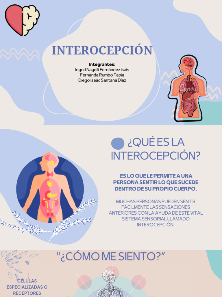 Interocepción | Descargar gratis PDF | Sentidos | Corazón