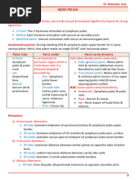 Preauricular Sulcus: Female Pelvis Study | PDF | Pelvis | Skeletal System