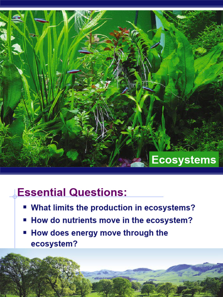 Ecosystems | PDF