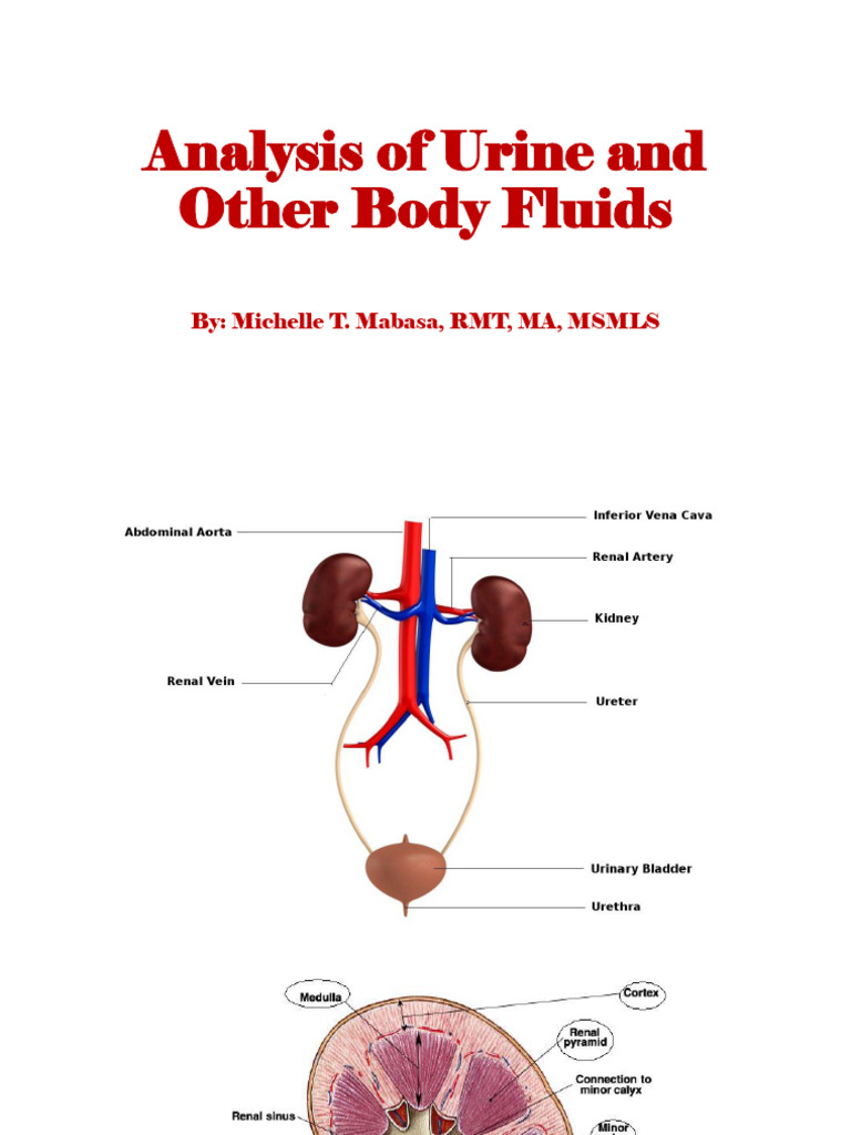 AUBF Review 1 | PDF | Wellness