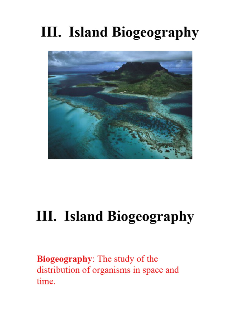 Islandbiogeo | PDF | Island | Evolution