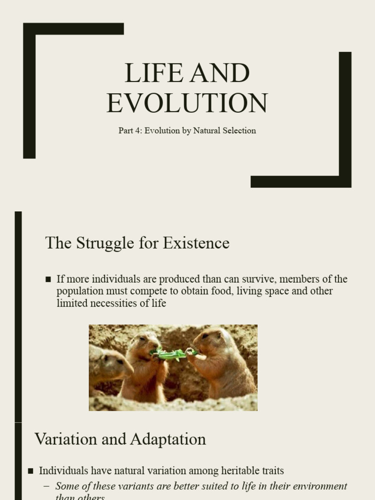 Natural Selection and Adaptation Explained | PDF | Natural Selection ...