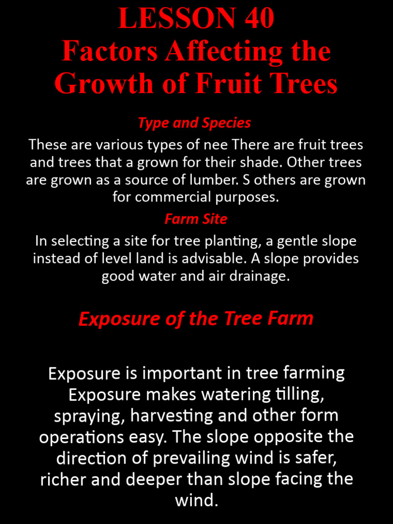 LESSON 40 WPS Office | PDF | Plant Nutrition | Soil