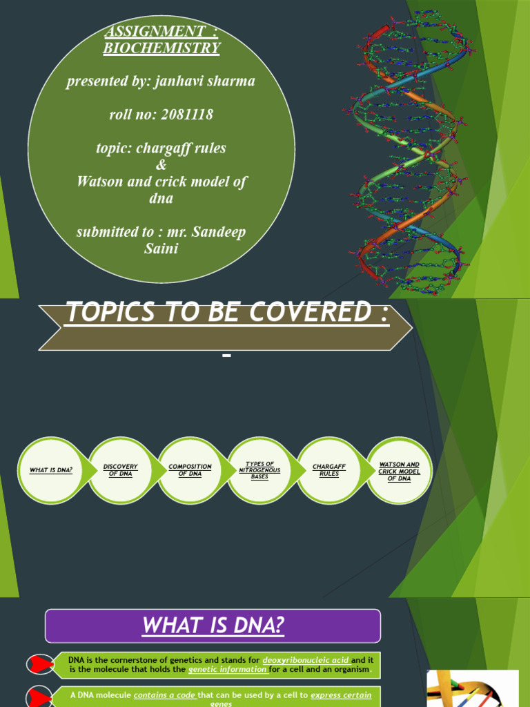 Biochem Assignment 2 (Autosaved) | PDF | Dna | Nucleic Acid Double Helix