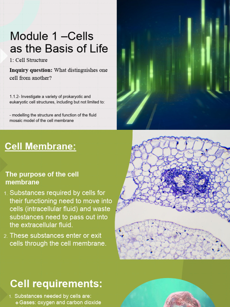 Module 1 - Cells As The Basis of Life: 1: Cell Structure | PDF