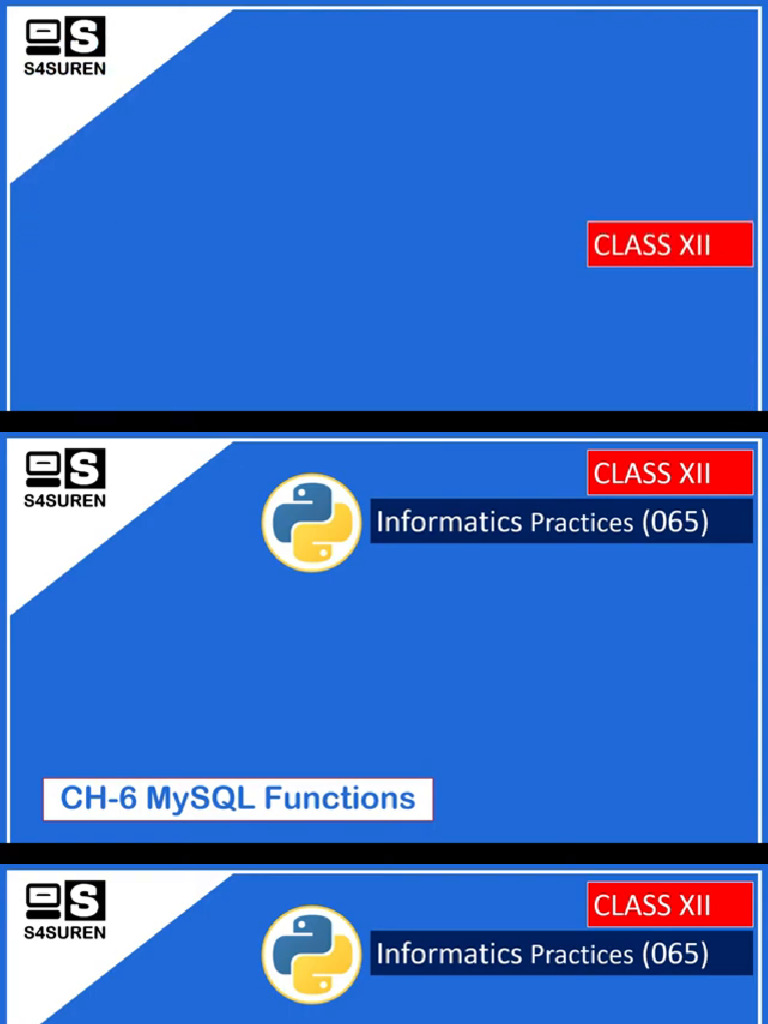 Nformatics Practices Ip 065 Class 12 | PDF