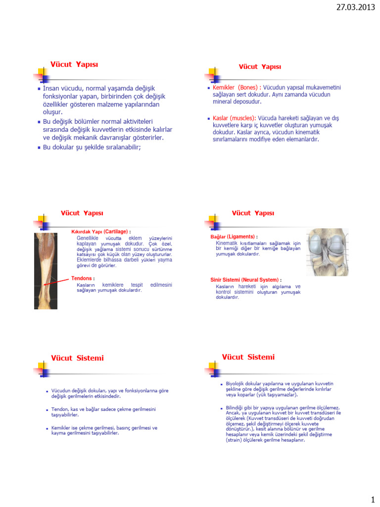 Bomekanik 2 OGR | PDF