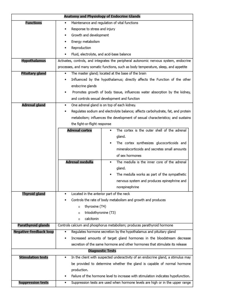 Ms2-Prelims (Concepts For Review - Endo) | PDF