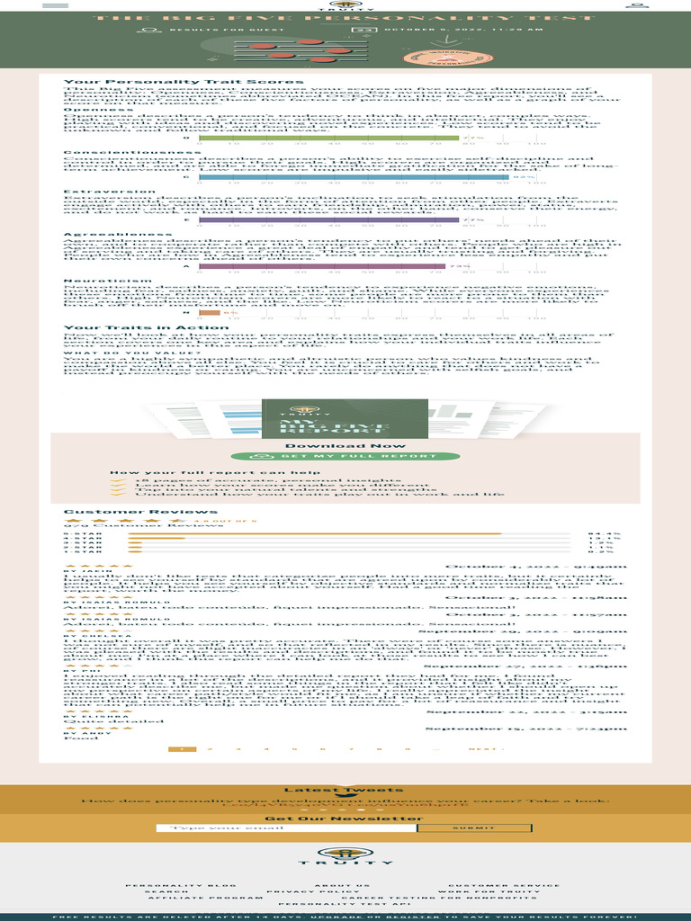 Truity Big Five Personality Test Insights | PDF | Extraversion And ...