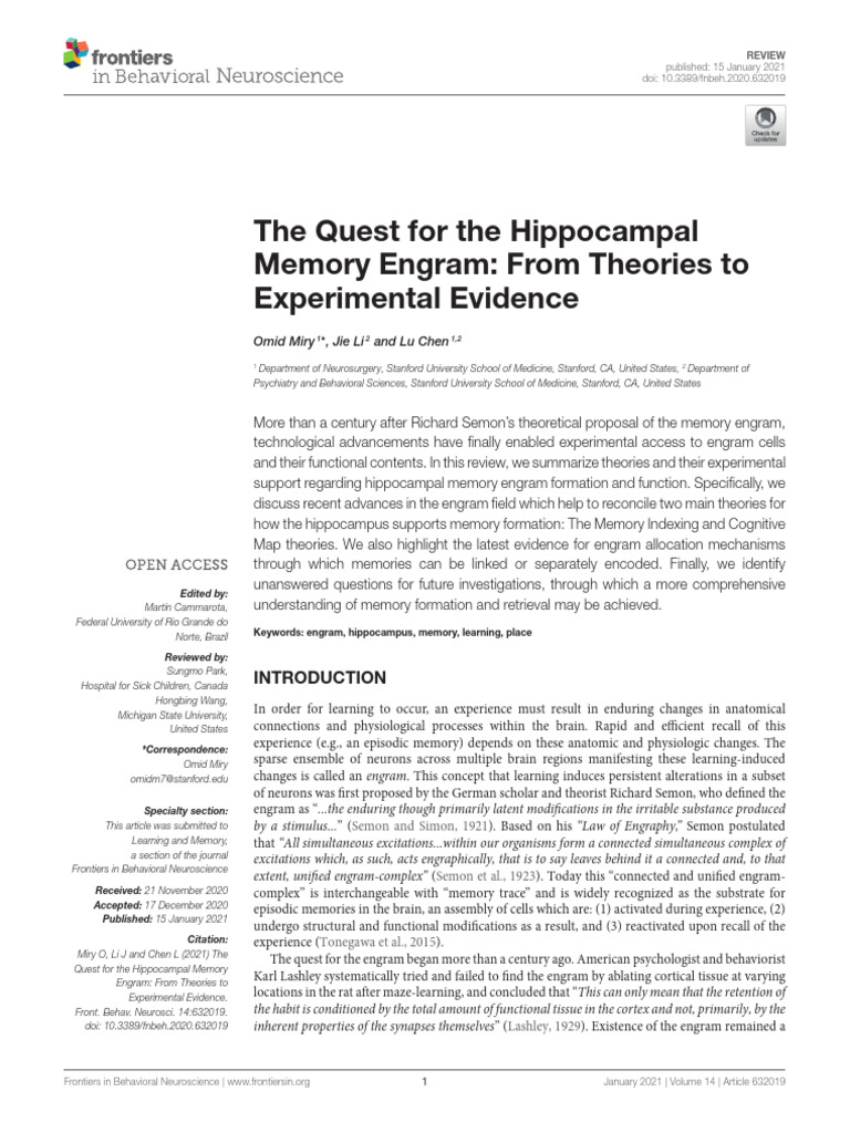 Hippocampal Memory Engram Insights | PDF | Memory | Synaptic Plasticity