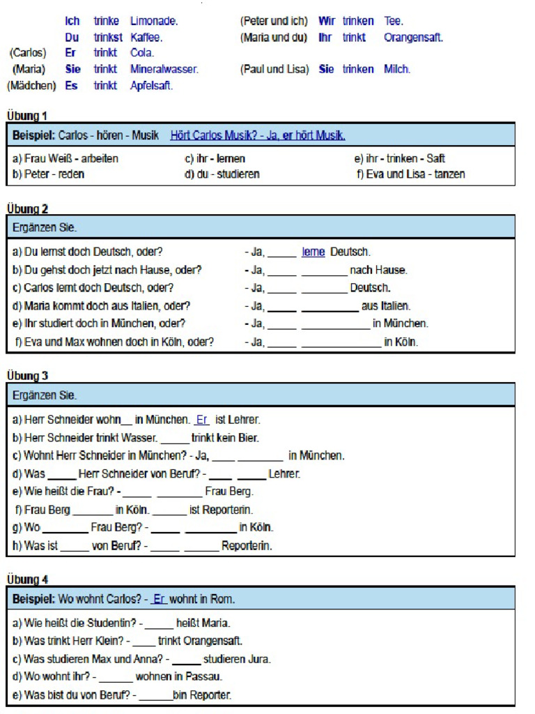 Personalpronomen-Nominativ Übungen A1 | PDF