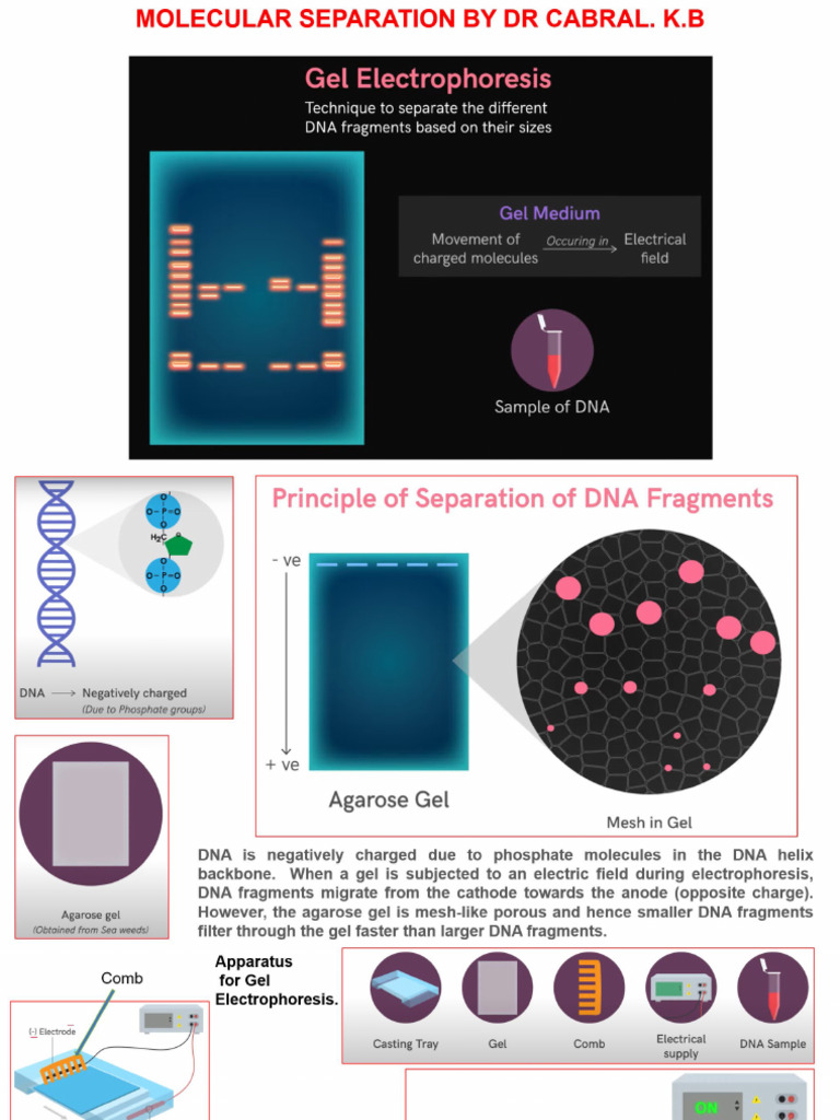 Molecular Separation 2023 Dec Ums | PDF