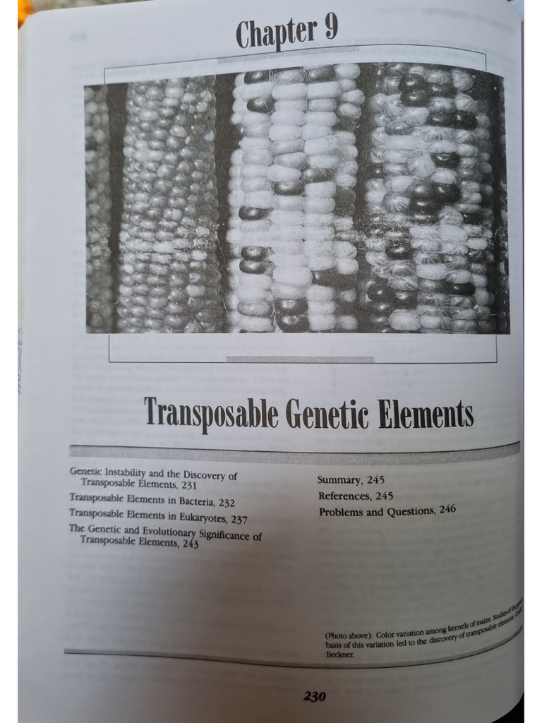 Genetics - Transposable Elements | PDF
