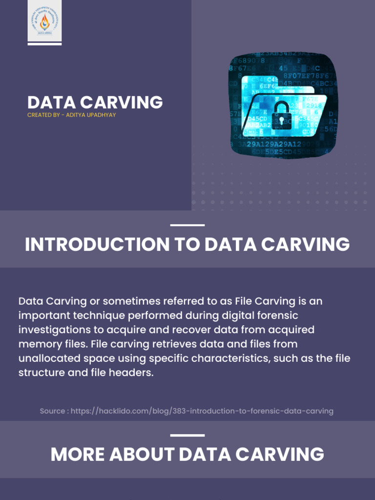 Data Carving Guide for Forensics | PDF | Computer File | File Format