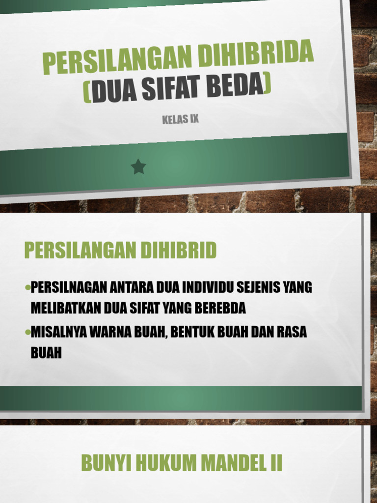Persilangan Dihibrida KLS 9 | PDF