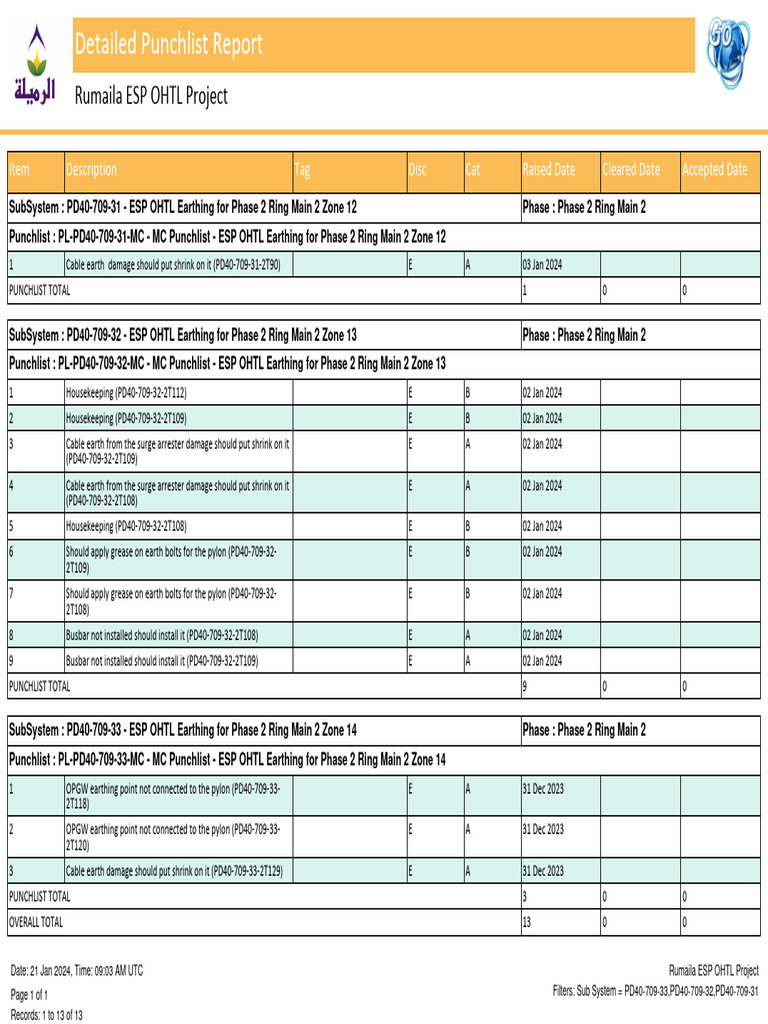 Detailed Punchlist Report | PDF