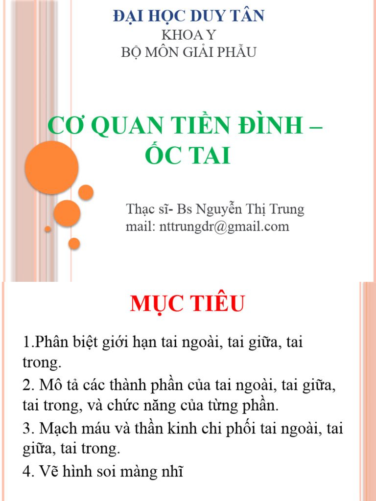 Cơ Quan Tien Dinh Oc Tai | PDF