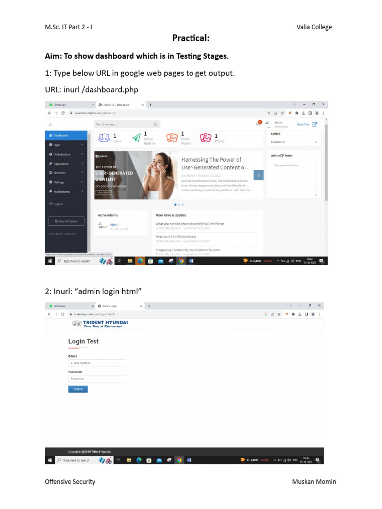 Final Offensive Security | PDF