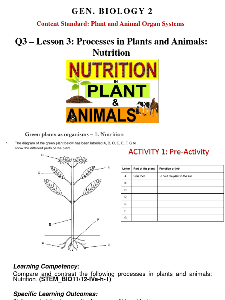 Processes in Plants and Animals-Nutrition | PDF