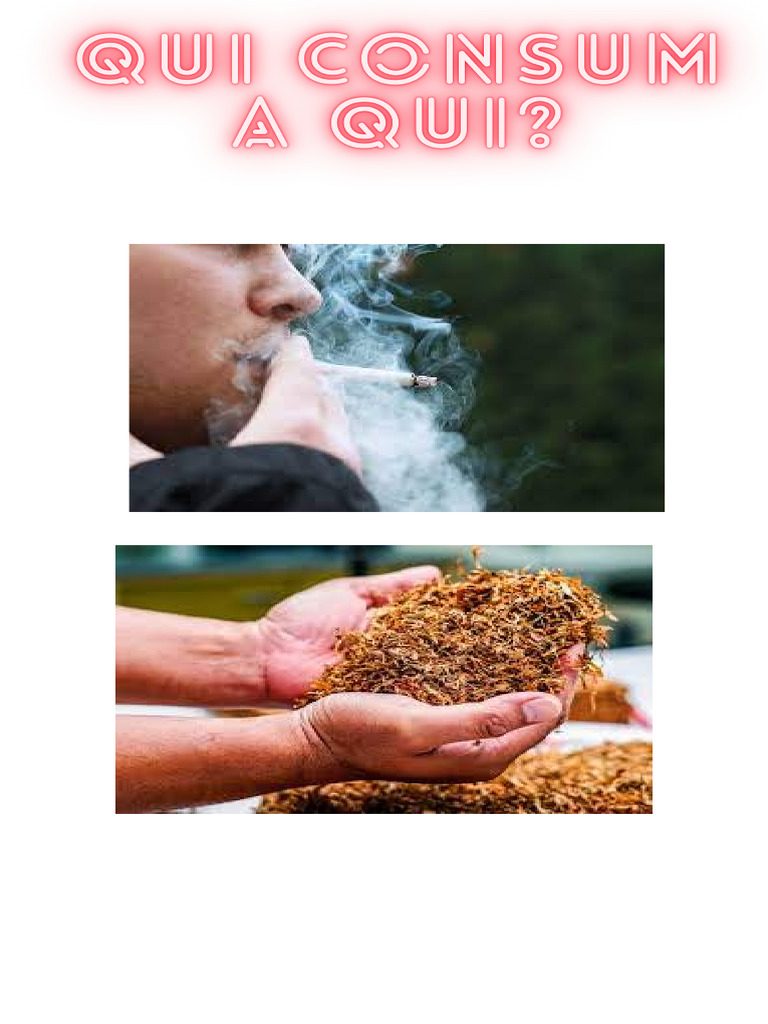 Agregar Un Título | PDF