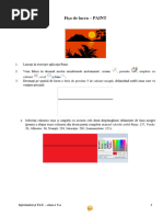 Fisa de Lucru Paint | PDF