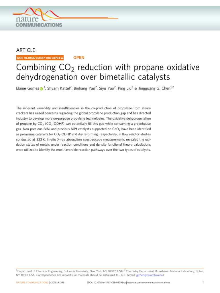 Bimetallic Catalyst | PDF | Catalysis | Chemical Reactions