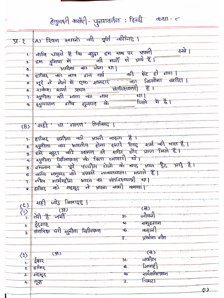 STD - 8 Hindi Revision | PDF