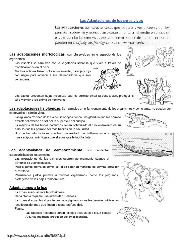 Adaptaciones 2 | PDF | Clima | Organismos