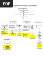 LP Tetraparese | PDF