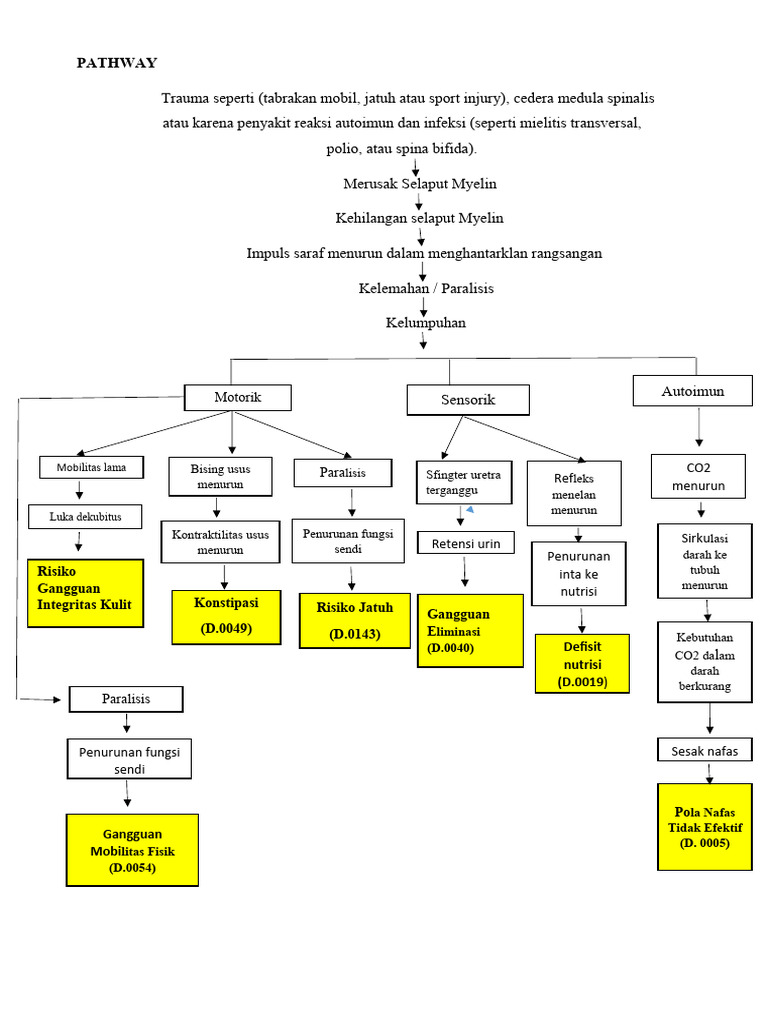 Pathway Tetraparese | PDF