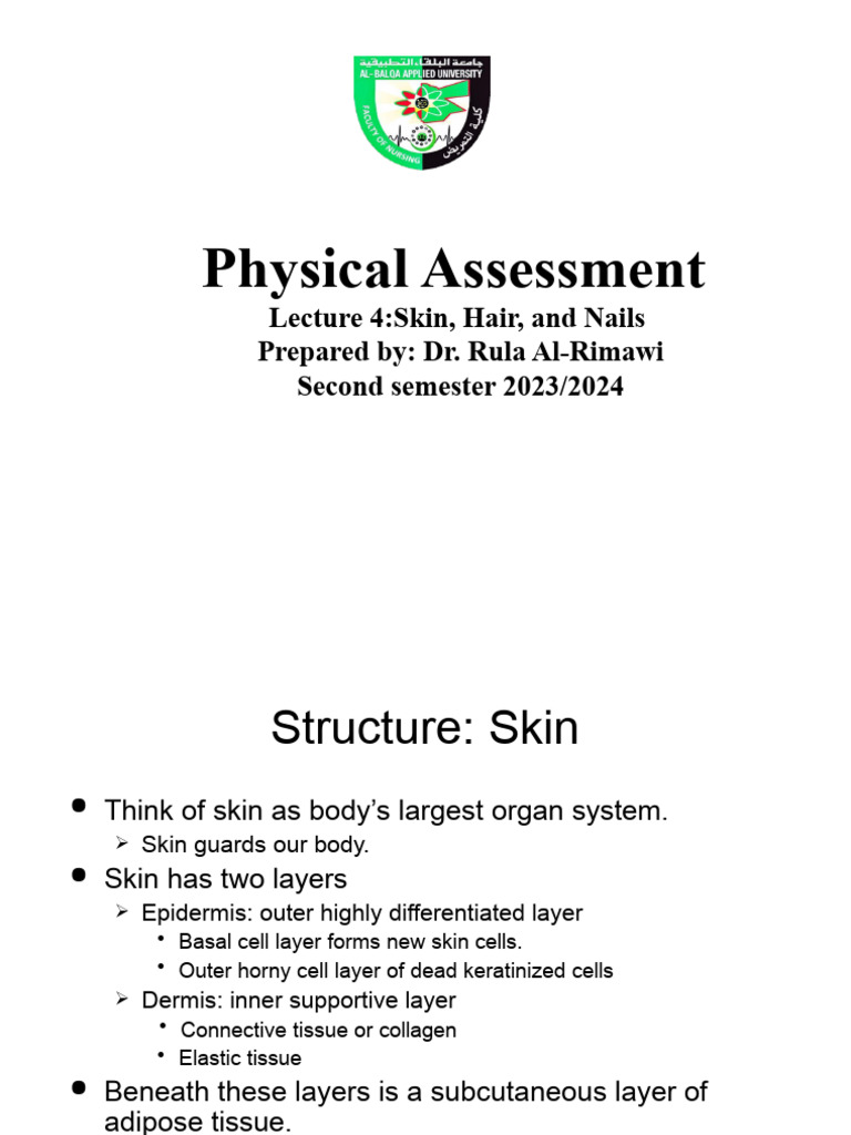 Skin, Hair, and Nails Guide | PDF | Skin | Nail (Anatomy)