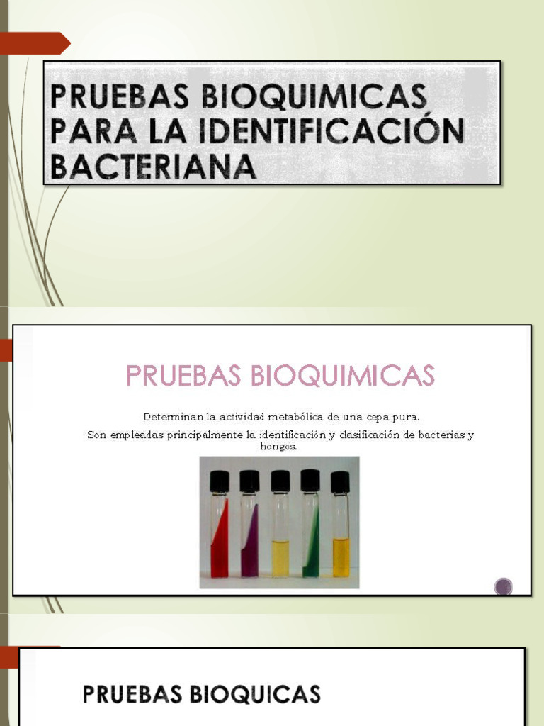 PRUEBAS BIOQUIMICAS | PDF