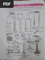 Class 11th EVS Project Book | PDF