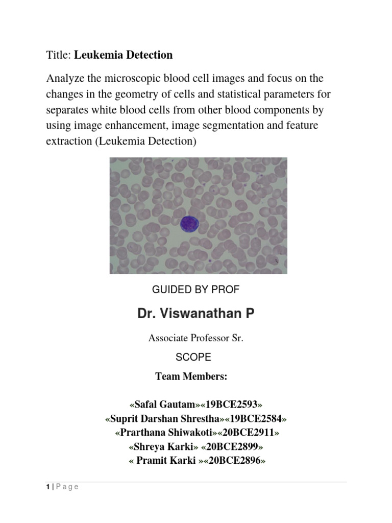 19bce2593 VL2021220104449 Pe003 | PDF | Image Segmentation | Support Vector Machine
