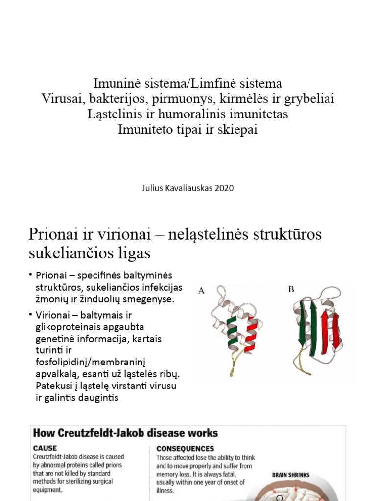 Imuninė Sistema. Virusai Bakterijos Pirmuonys Kirmelės. T Ir B ...
