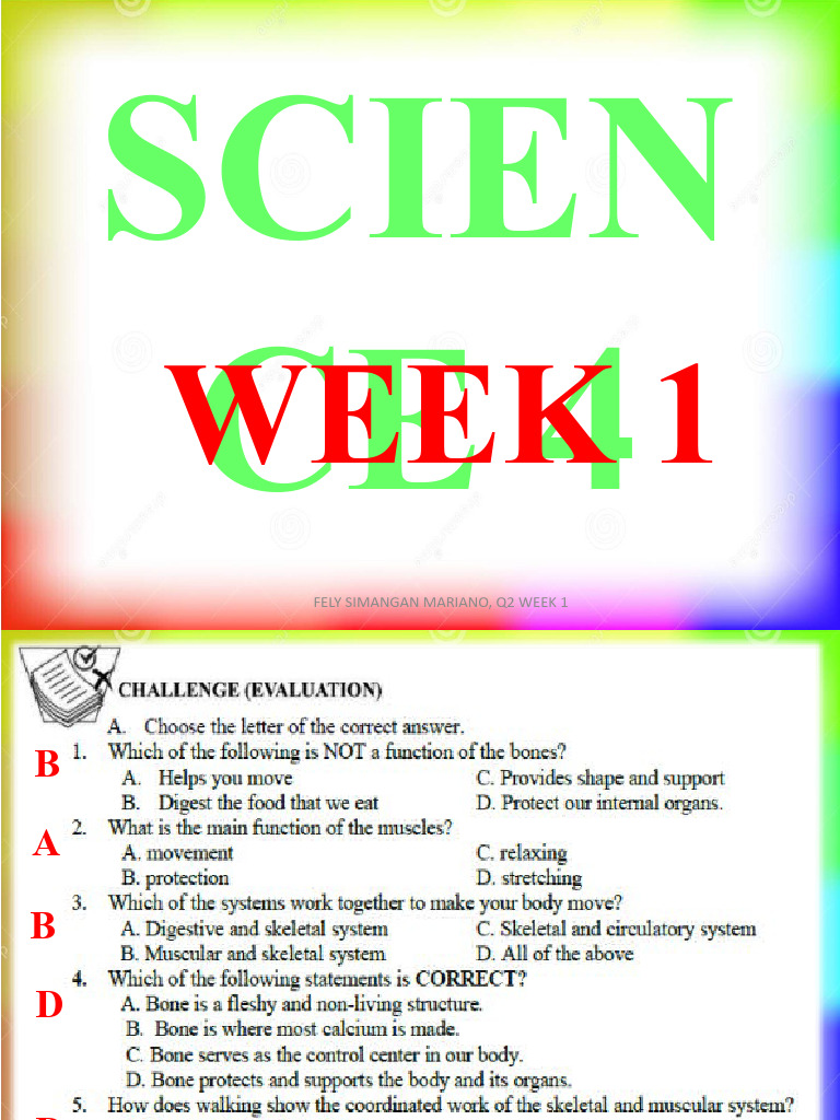 Q2 Science Week 1.2 | PDF | Vertebral Column | Musculoskeletal System