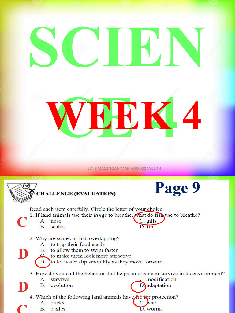Q2 Science Week 4 | PDF | Home & Garden