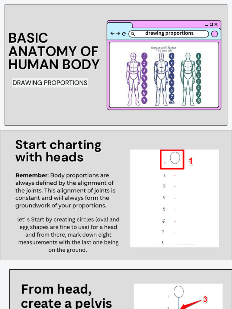 Basic Anatomy of Body Parts | PDF
