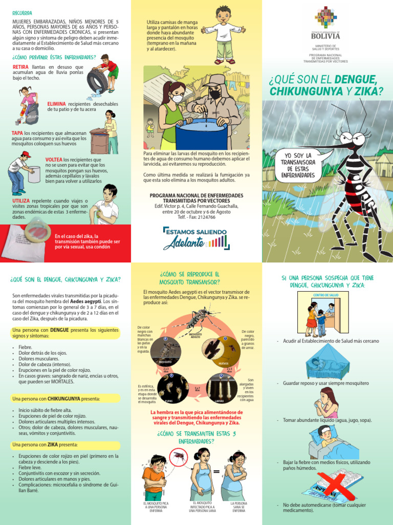 Triptico ZIKA 22 | Descargar gratis PDF | Mosquito | Fiebre del zika Triptico ZIKA 22 | Descargar gratis PDF | Mosquito | Fiebre del zika