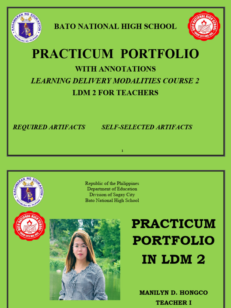LDM 2 Practicum Portfolio Overview | PDF | Career & Growth | Business