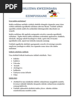 Lesson Plan Isikhangiso | PDF