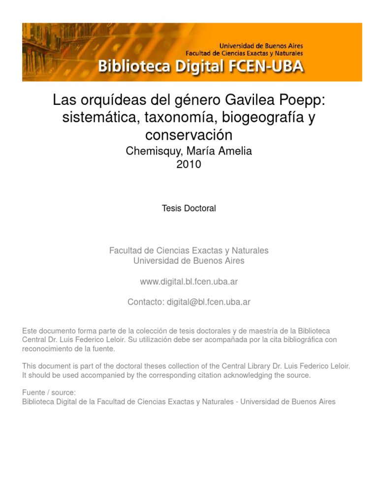 Tesis 4764 Chemisquy | PDF