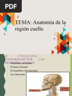 Músculos de La Nuca | PDF | Sistema musculoesquelético | Anatomía humana