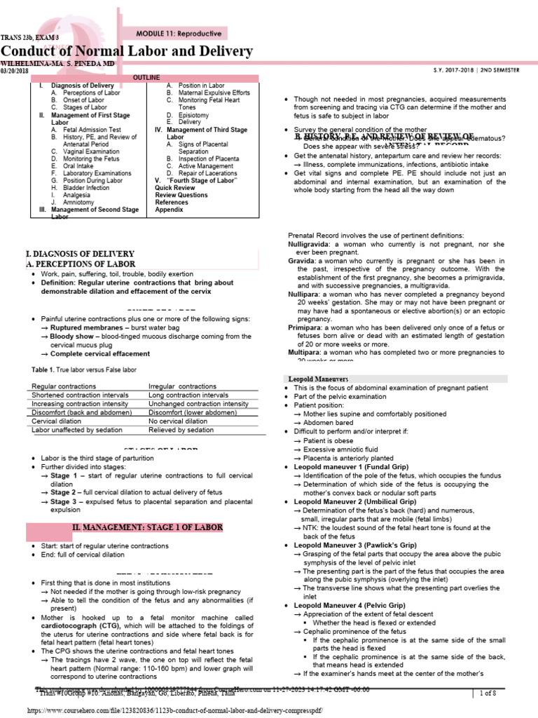 1123b Conduct of Normal Labor and Delivery Compress PDF | PDF