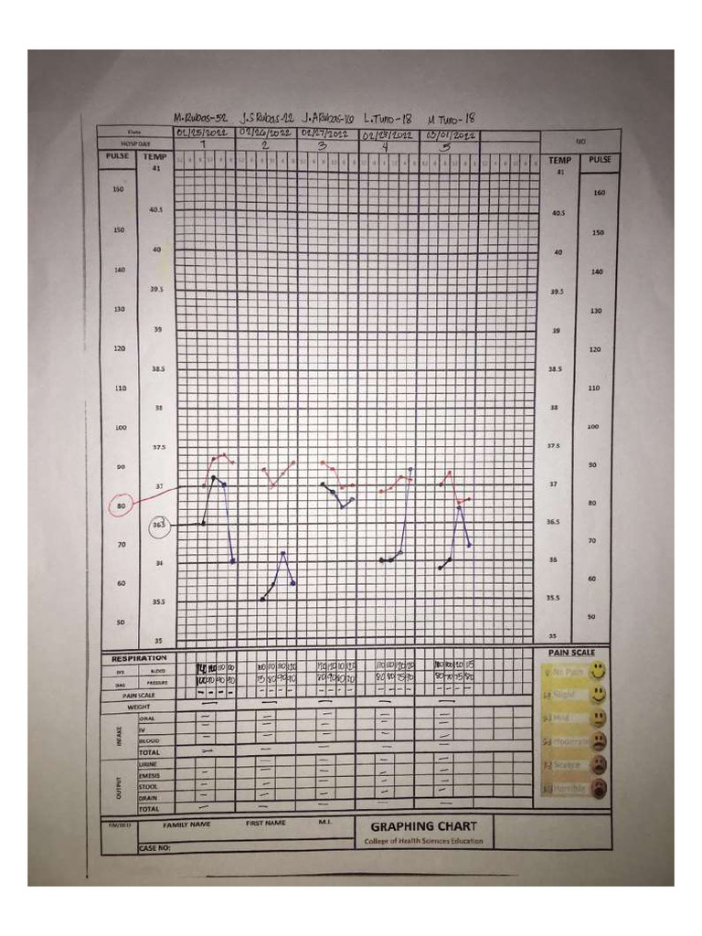 Graphing Chart | PDF