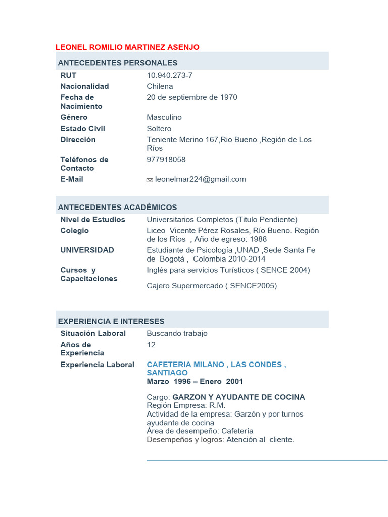 Curriculum Leo Actualizado | PDF