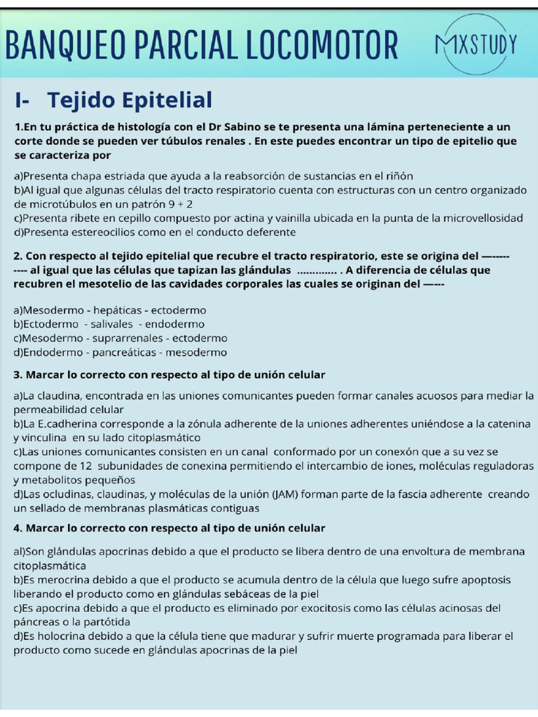 Banqueo A. Locomotor | PDF