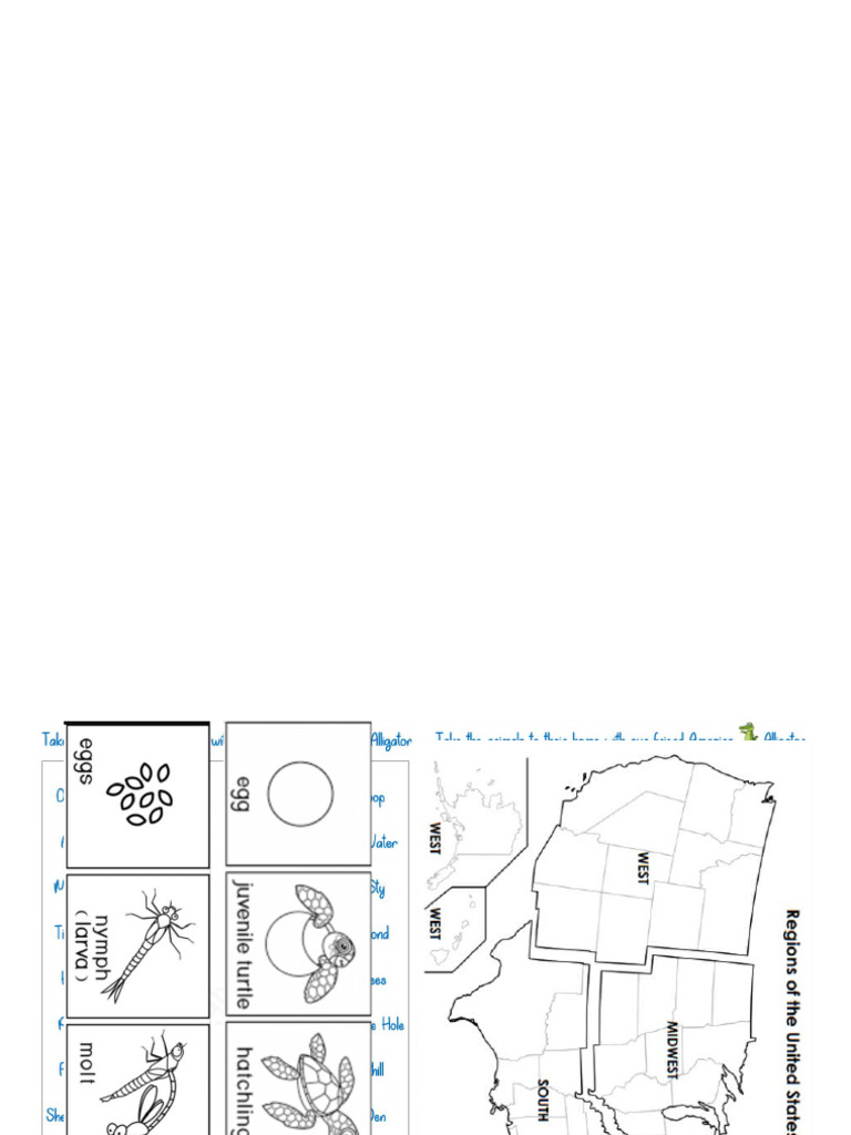 Worksheets Week 7 | PDF