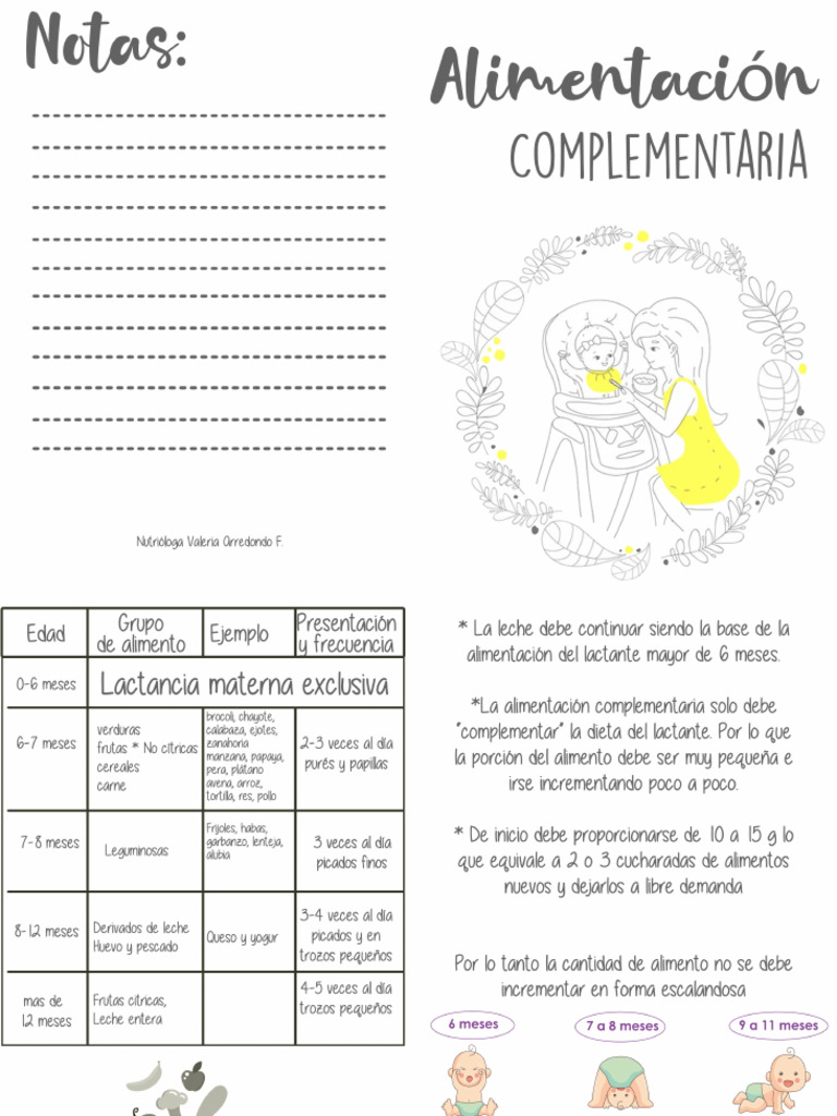 Alimentación Complementaria Folleto | PDF