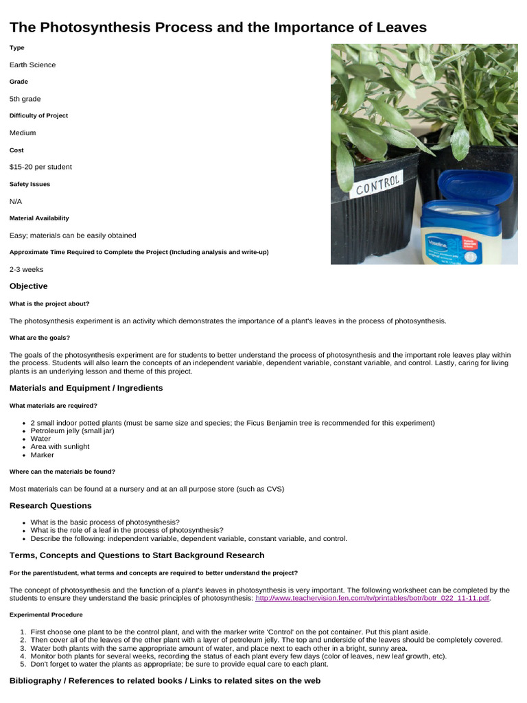 photosynthesis-process-leaves | PDF | Leaf | Experiment